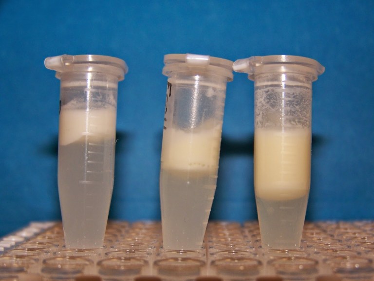 Swirled or shaken? Does shaking actually damage milk – the scientific ...